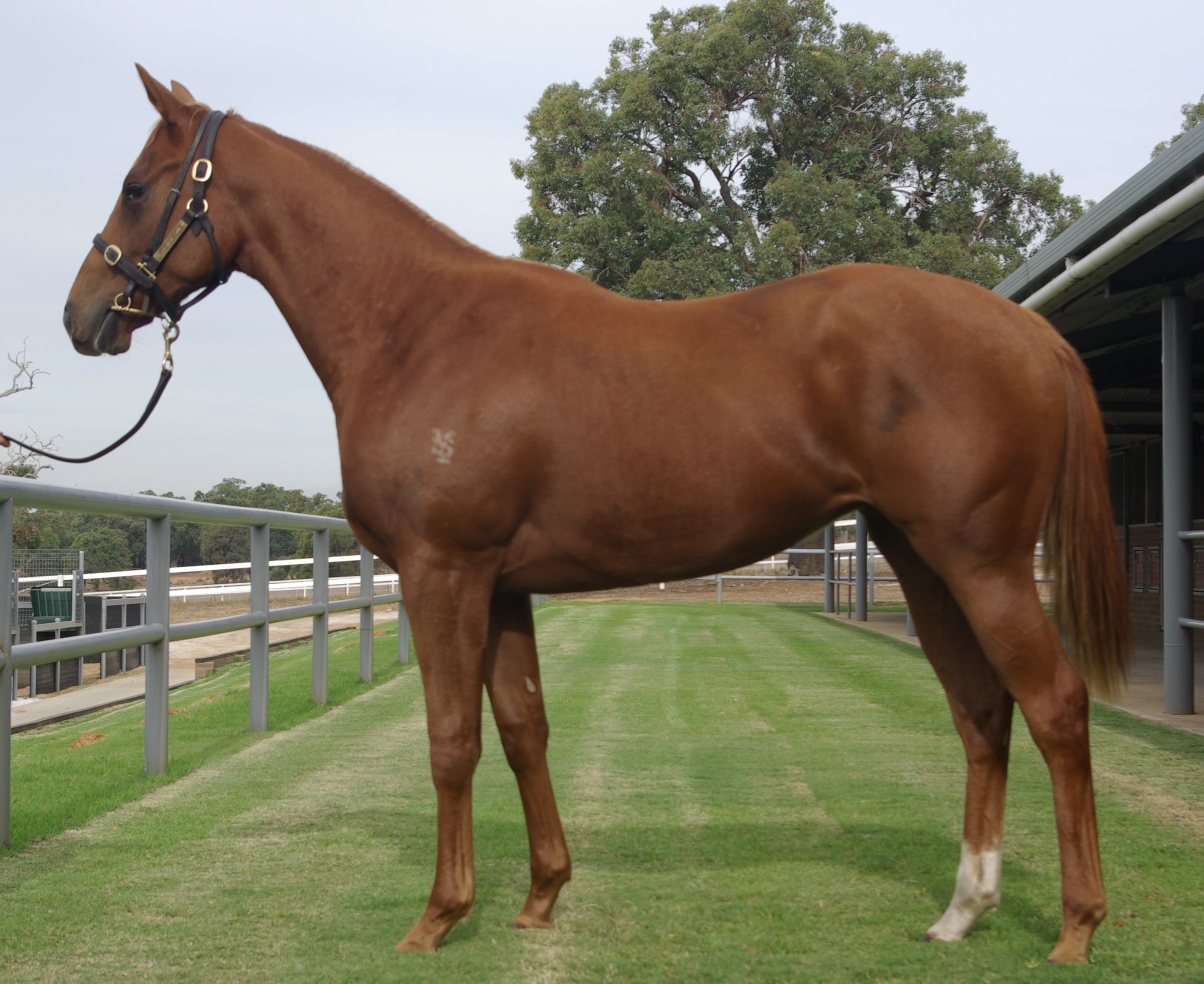 Patronize - Enticing Smile | TBWA