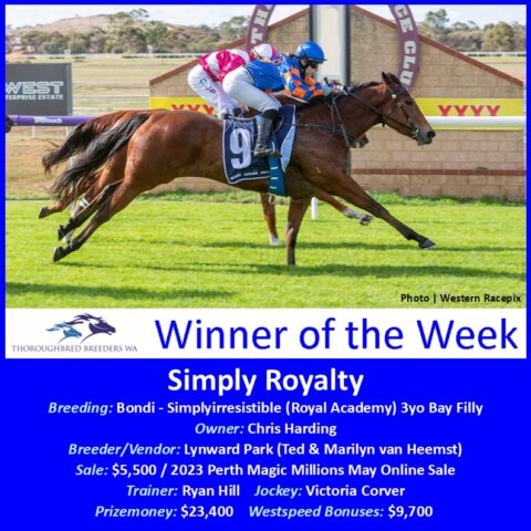 Simply Royalty - TBWA Winner of the Week | TBWA